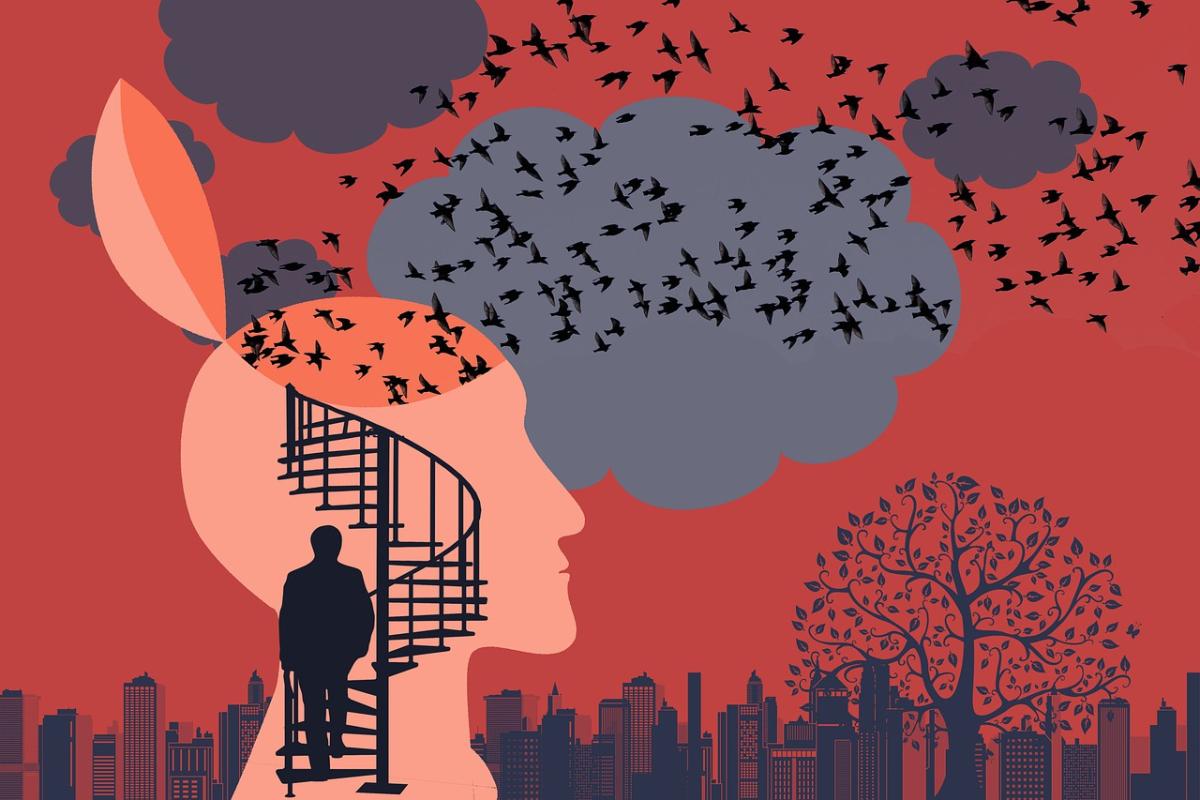 Definición de percepción. Teorías, etapas y tipos – Definicion.com