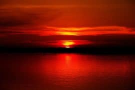 Definición de rubro. Usos y ejemplos