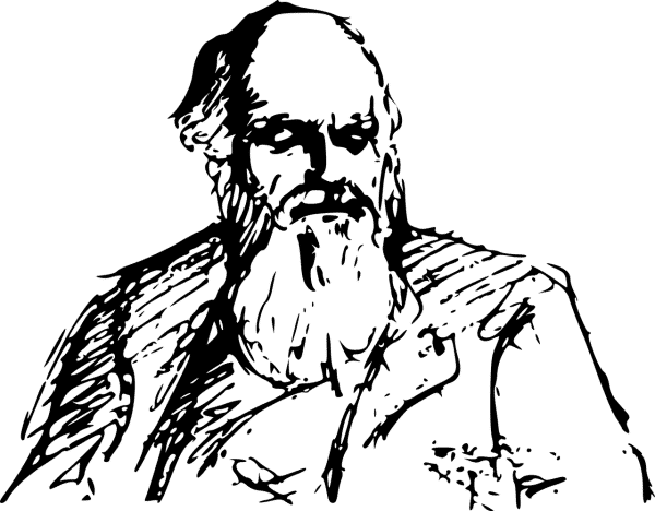 Definición de transformación. En biología, lingüística, matemática ...