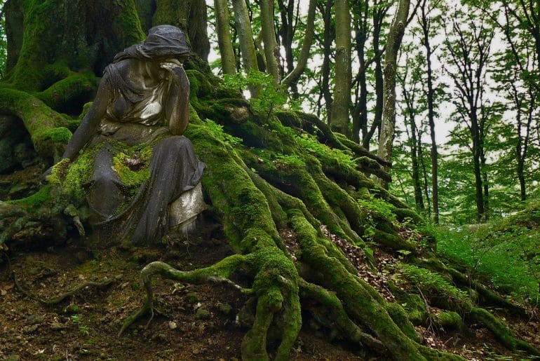 Definición de ámbito. Tipos y los ámbitos de una organización ...