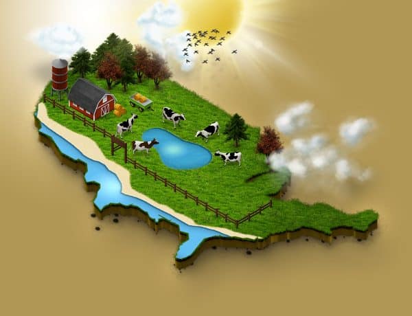 Definición de marginal. Los márgenes, la marginalidad y otras acepciones