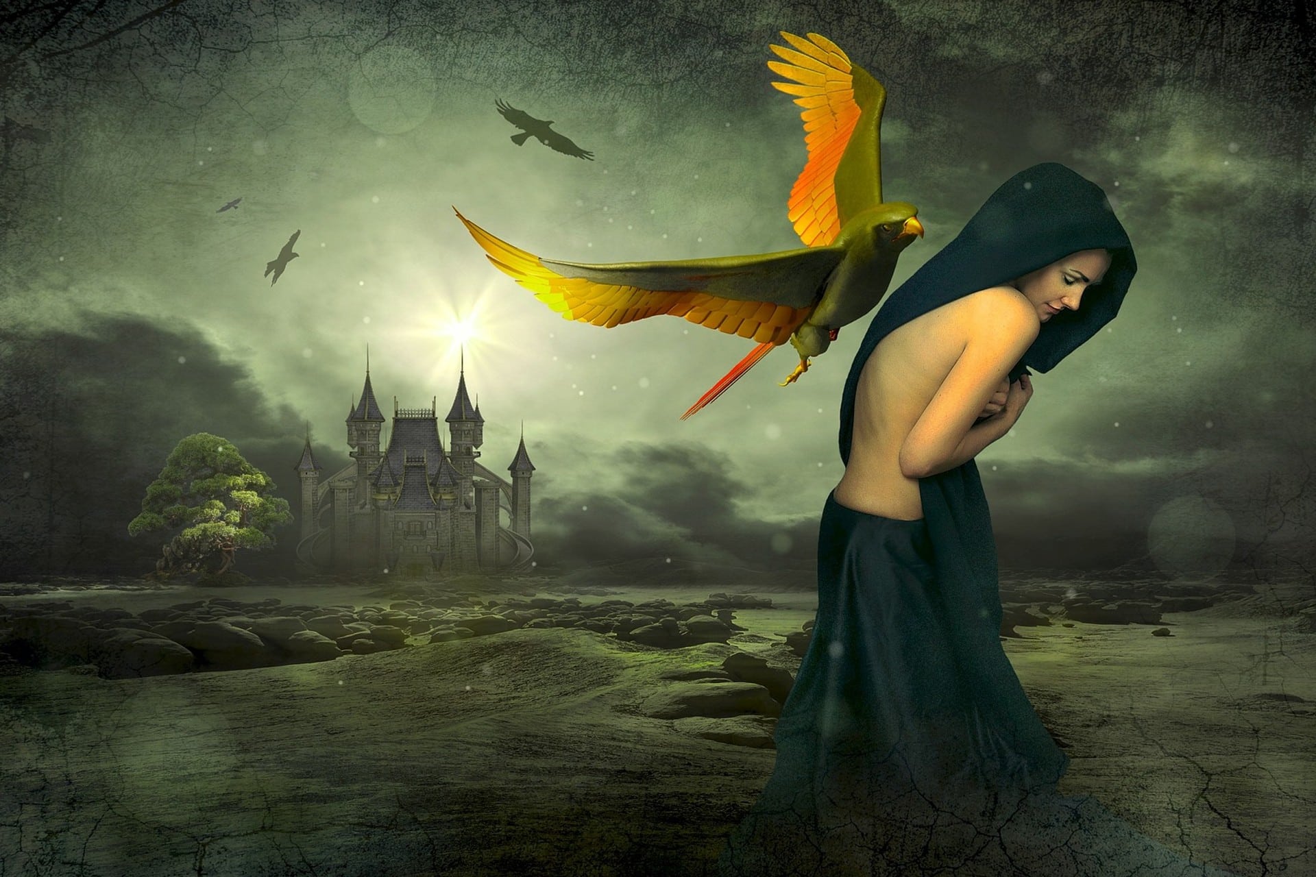 Definición de explícito. Modos de manifestación, el lenguaje y ...