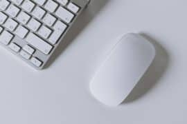 Definición de mouse. Historia, rasgos y tipos