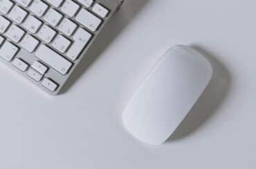 Definición de mouse. Historia, rasgos y tipos